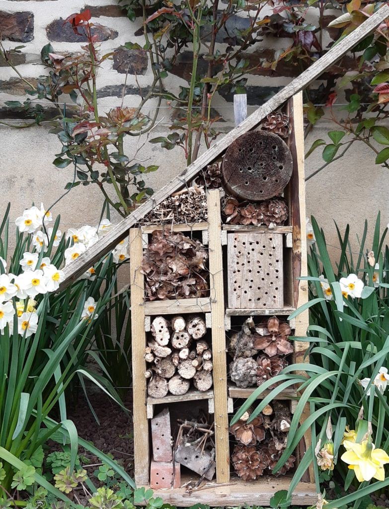 » Recyclons en construisant une maison à insectes